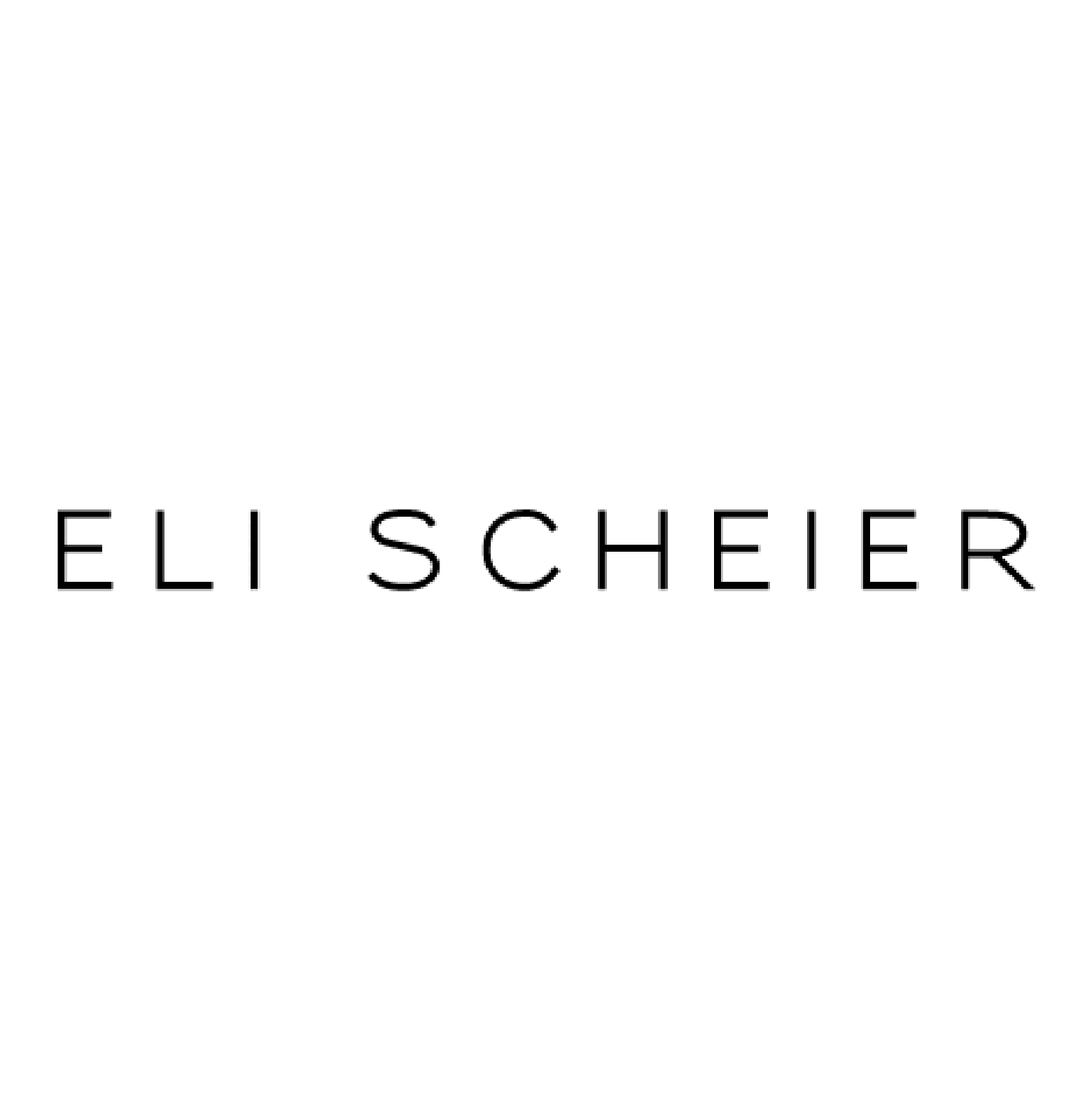 Private Consultations - Eli Scheier